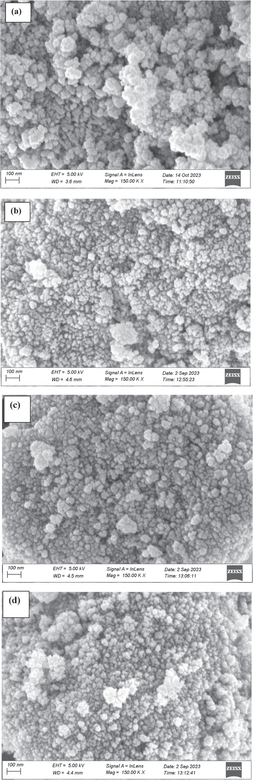 Structural and magnetic properties of Fe and Ni co-doped SnO2 ...