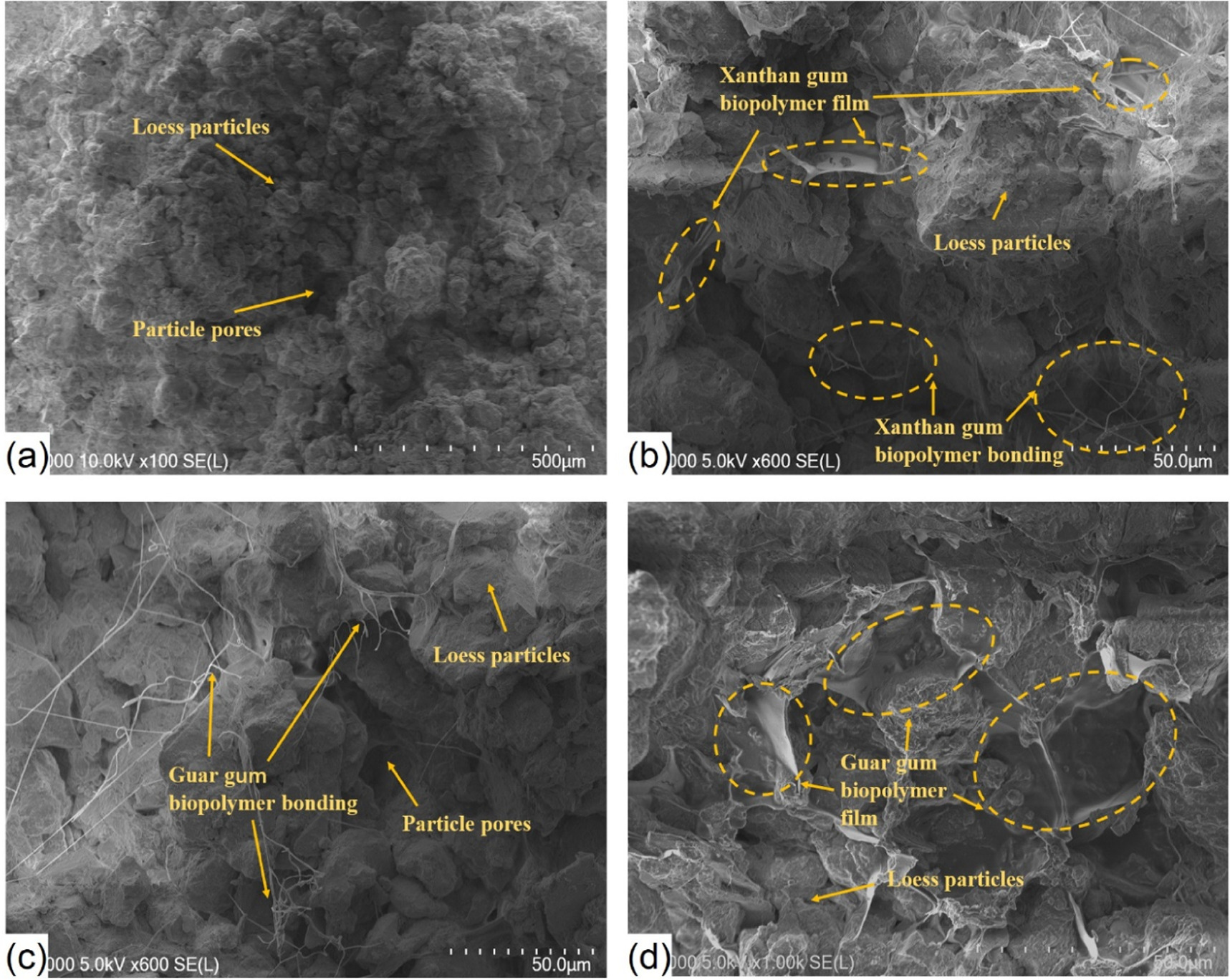 Mechanical behavior and strengthening mechanism of loess stabilized ...