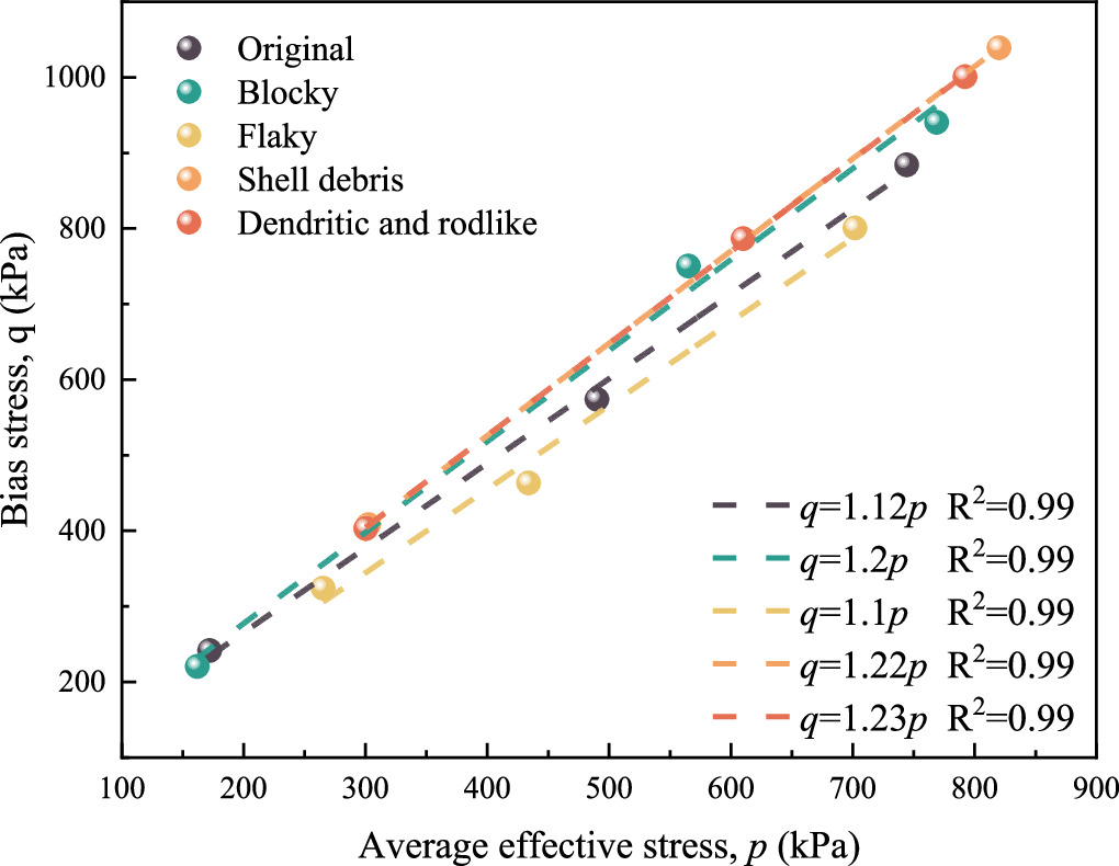 Effect of the particle shape on the shear mechanical behavior of coral ...