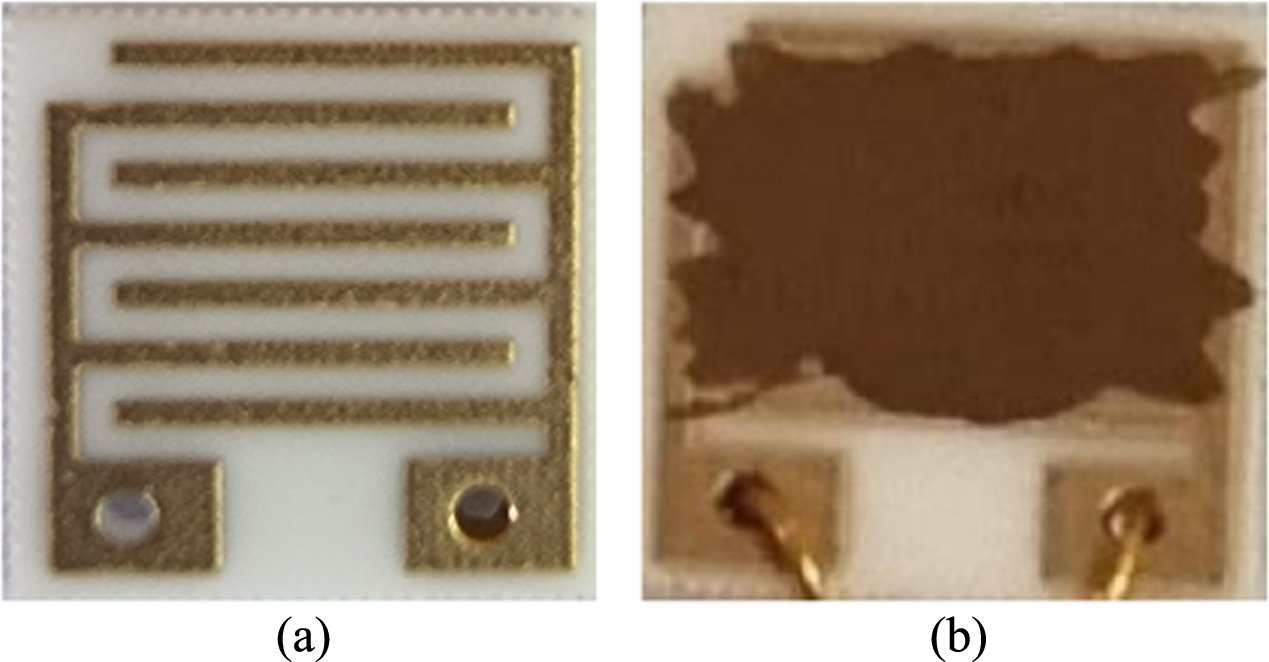 Synthesis of NiO-SnO2 cauliflower-like gas sensor material using a ...