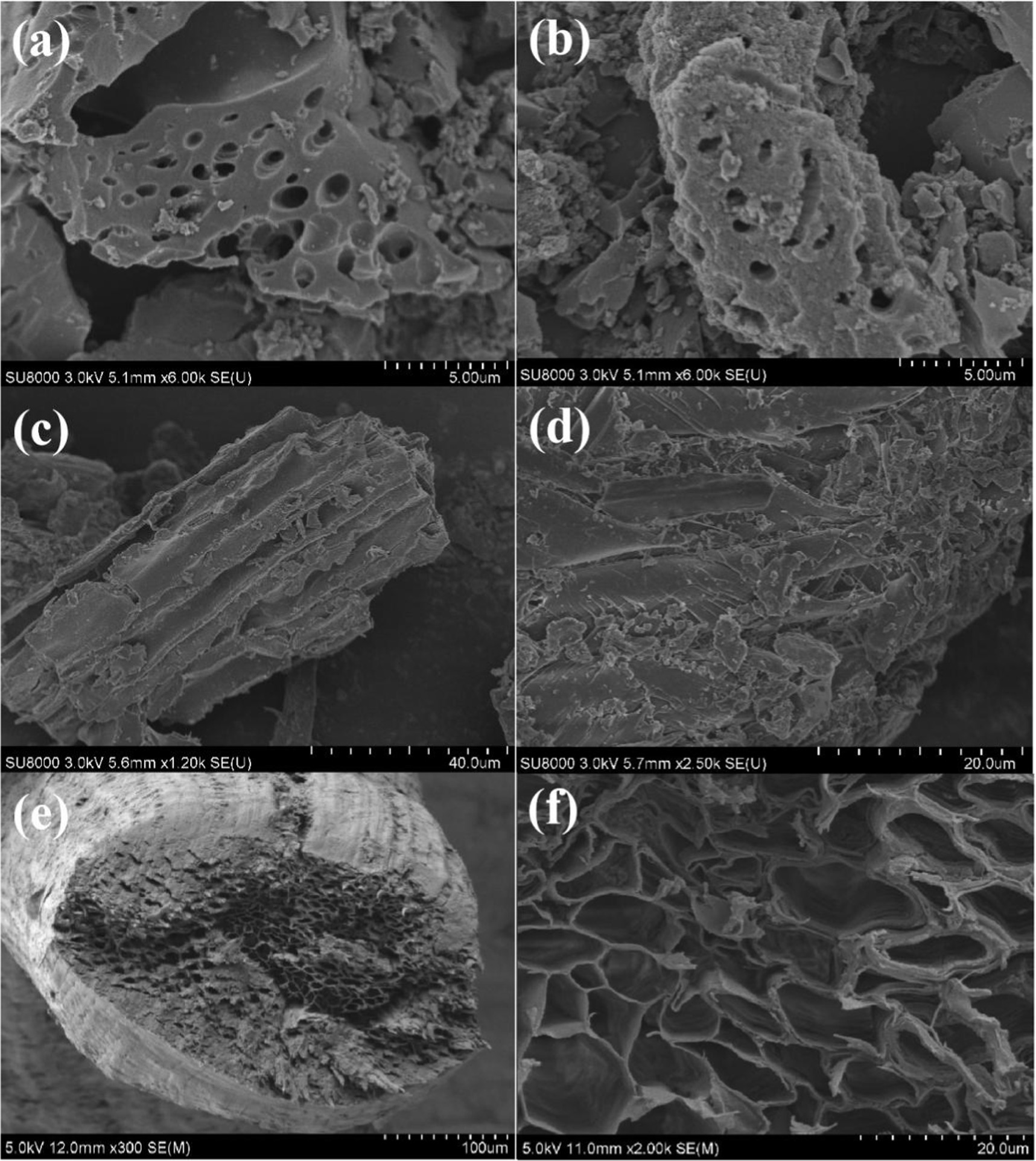 Study on the sound absorption characteristics and noise reduction ...