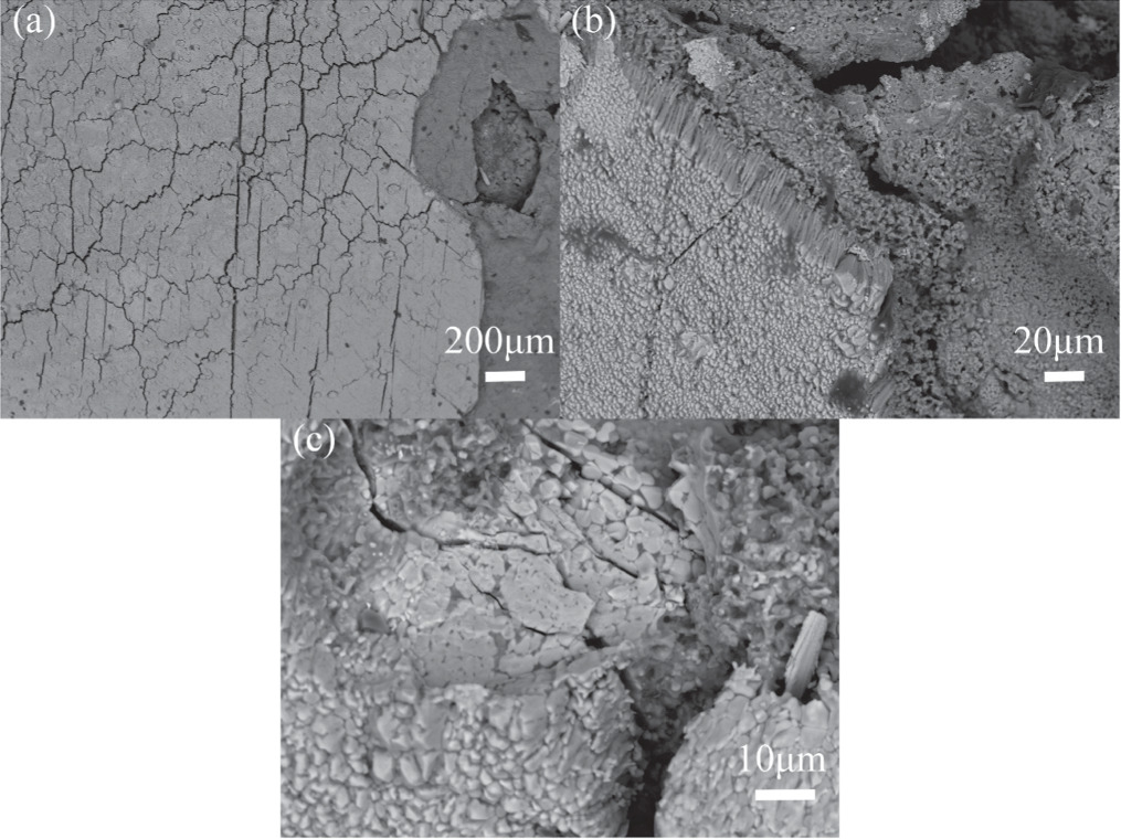 Failure behavior study of EB-PVD TBCs under CMAS corrosion and thermal ...