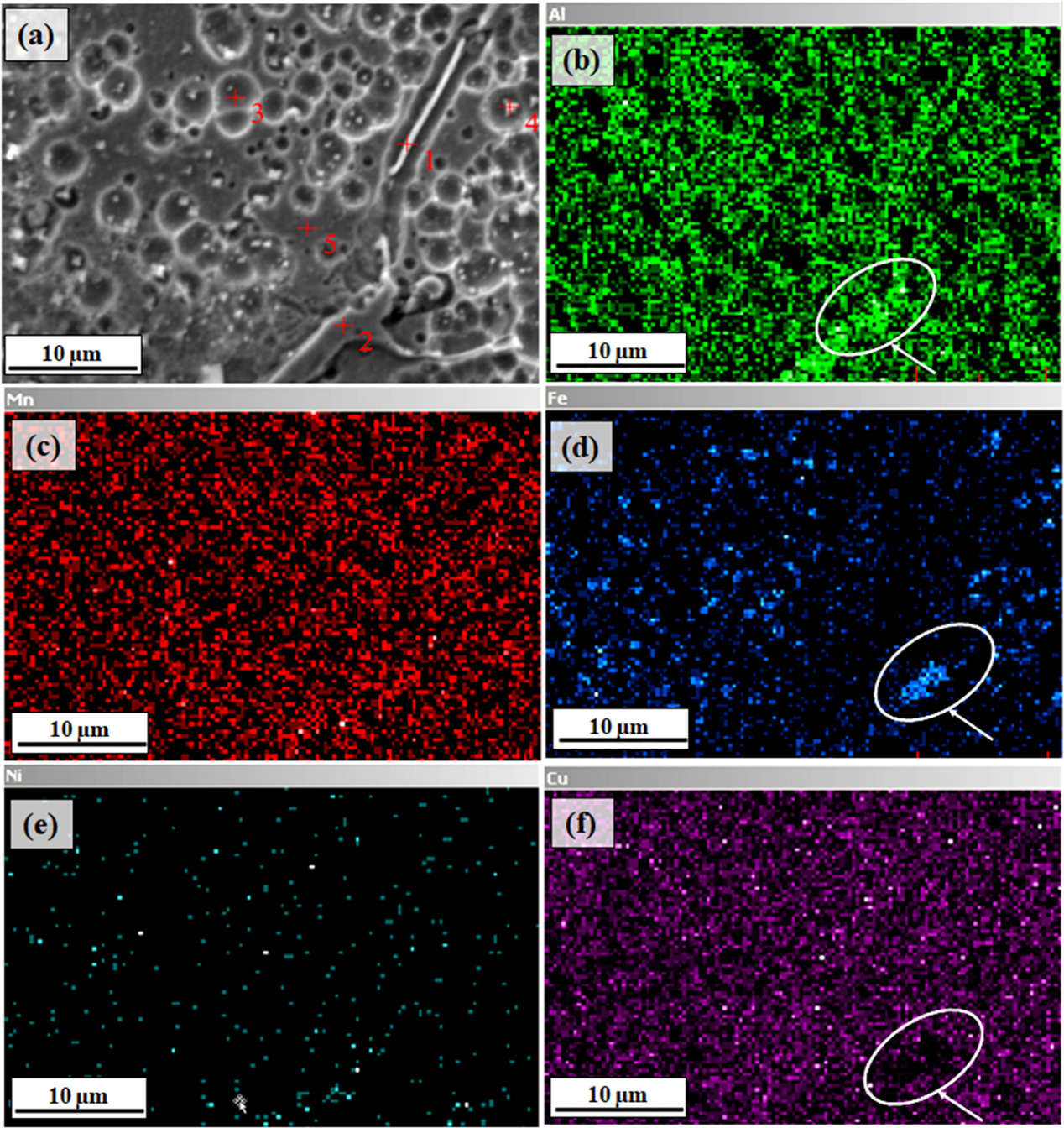 Cavitation erosion behaviour of MAB-CU4 alloy: influences of cavitation ...