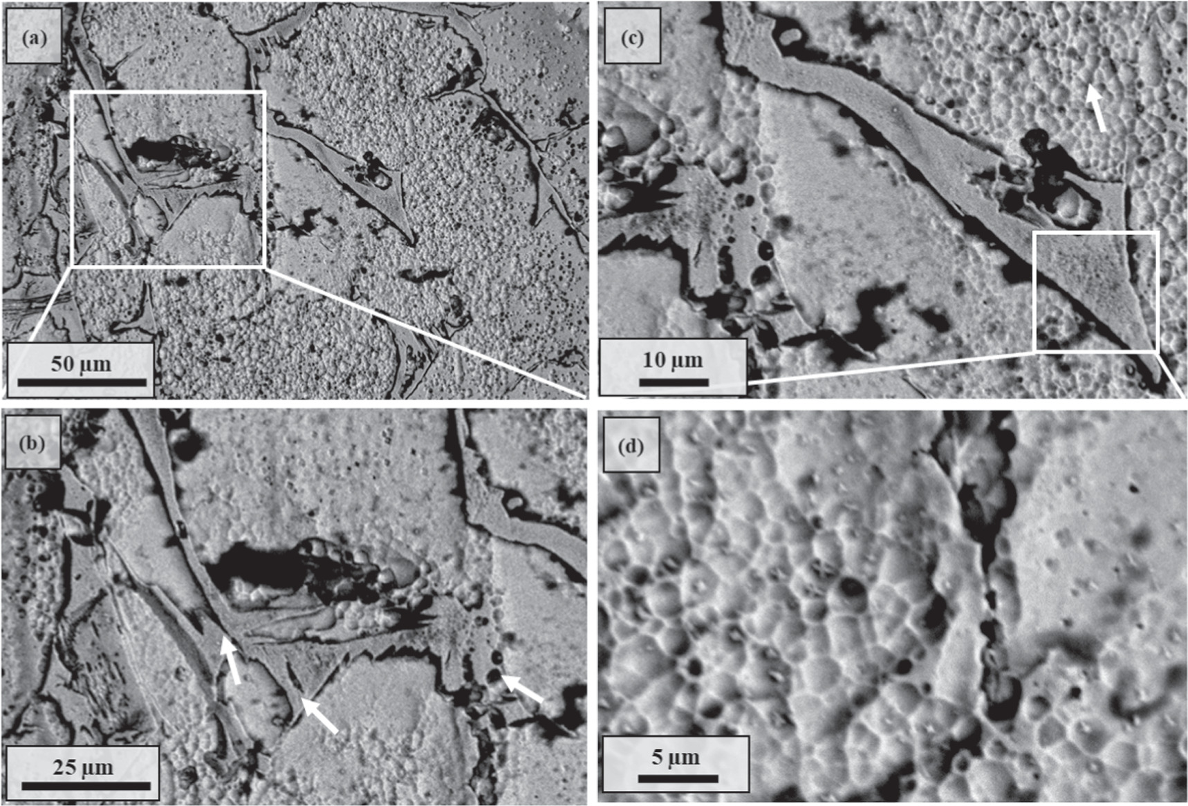 Cavitation erosion behaviour of MAB-CU4 alloy: influences of cavitation ...