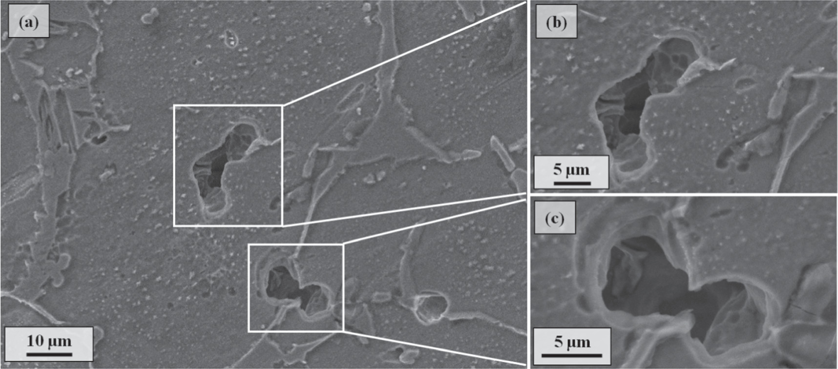 Cavitation erosion behaviour of MAB-CU4 alloy: influences of cavitation ...