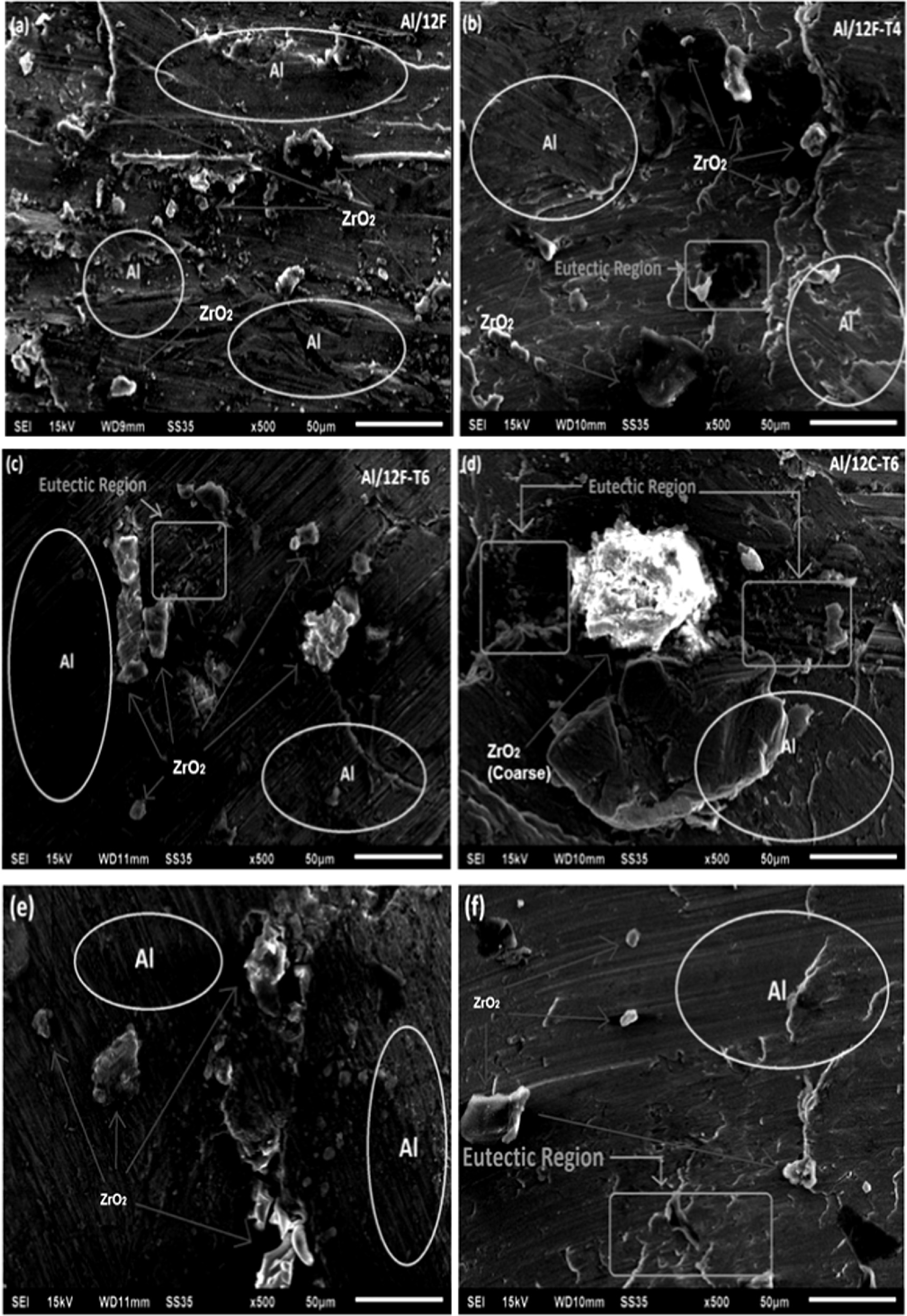 Wear behaviour of T4 and T6 heat treated LM28 composite reinforced with ...