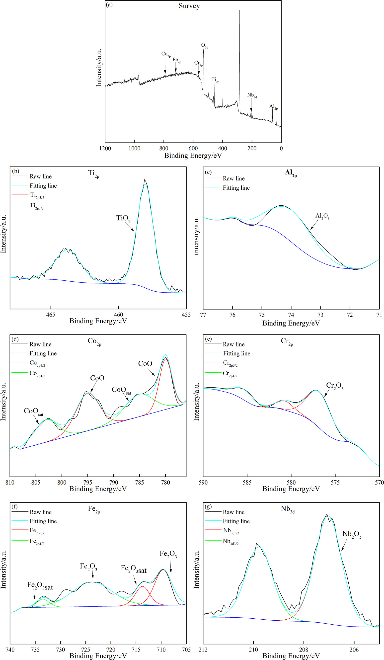 Investigation into tribocorrosion behaviors of CoCrFeNiNb laser-clad ...