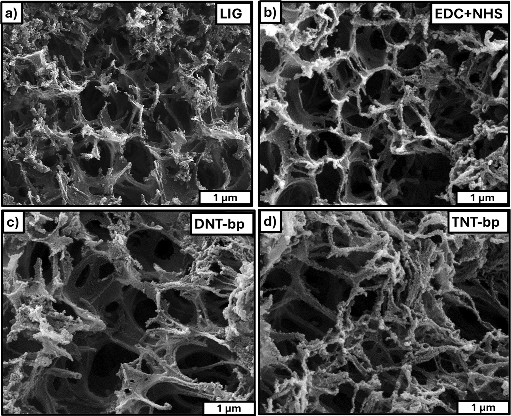 Nanoarchitectonics in immobilization of DNT/TNT specific binding ...