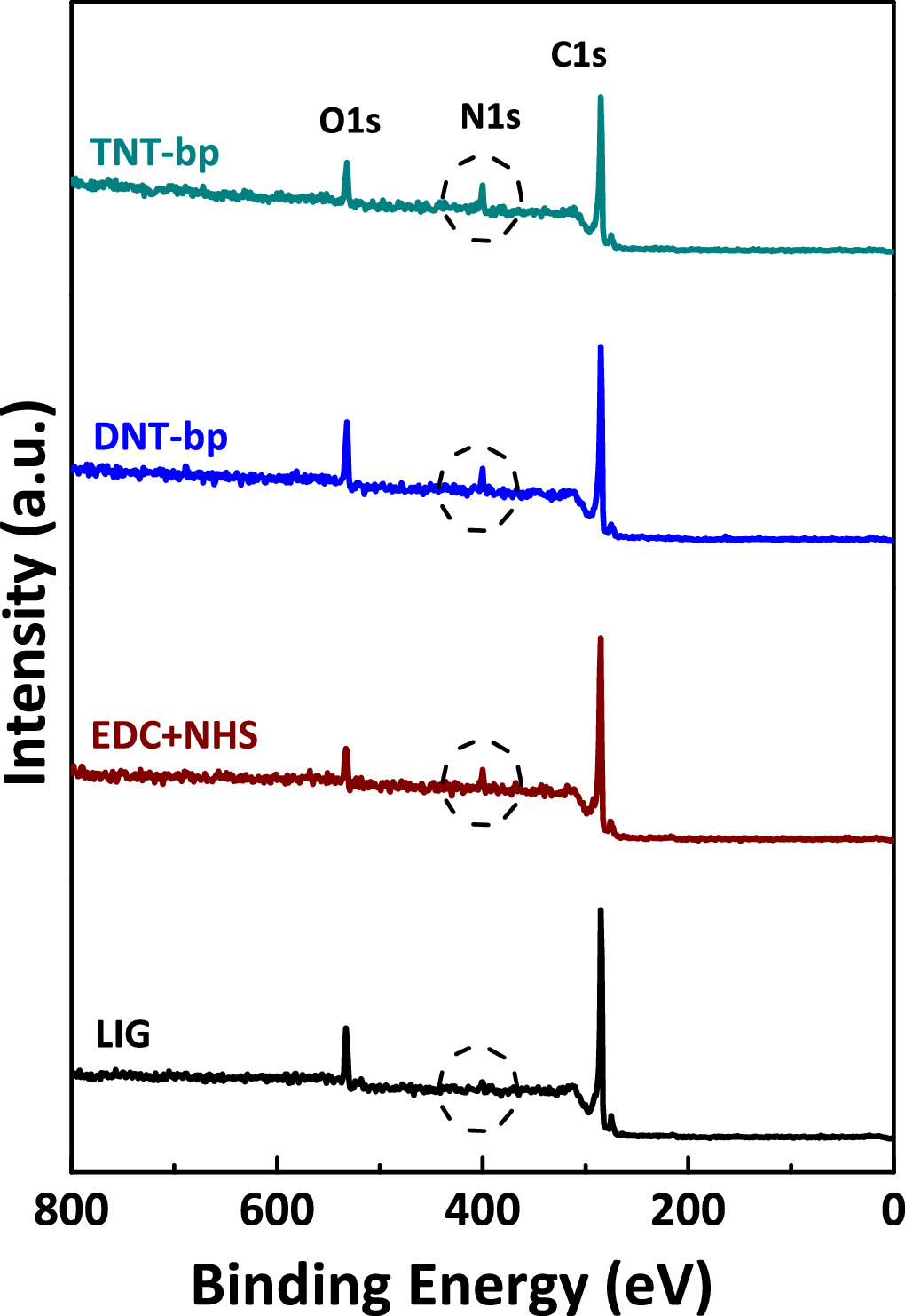 Nanoarchitectonics in immobilization of DNT/TNT specific binding ...