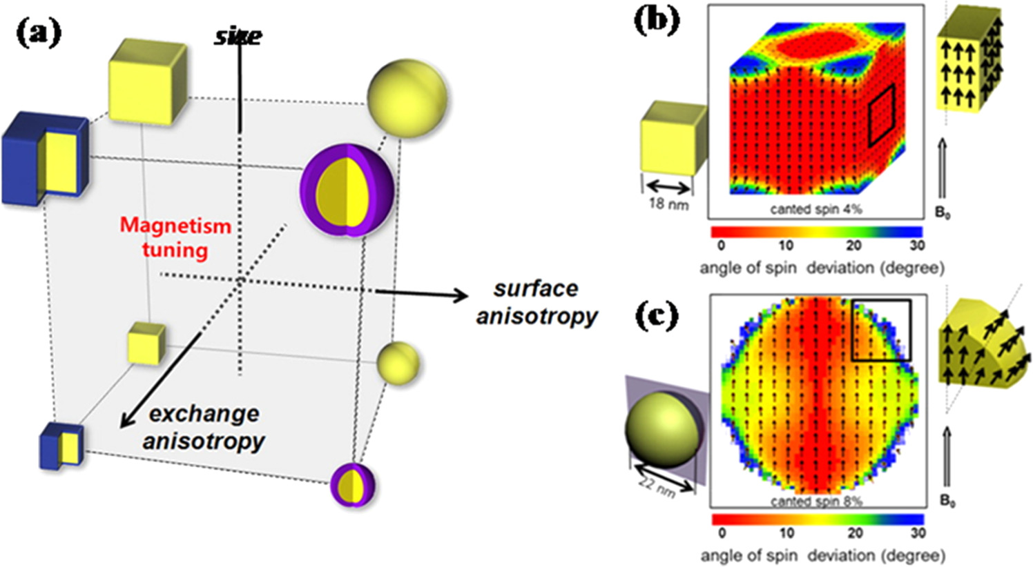 Magnetic and electronic properties of anisotropic magnetite ...