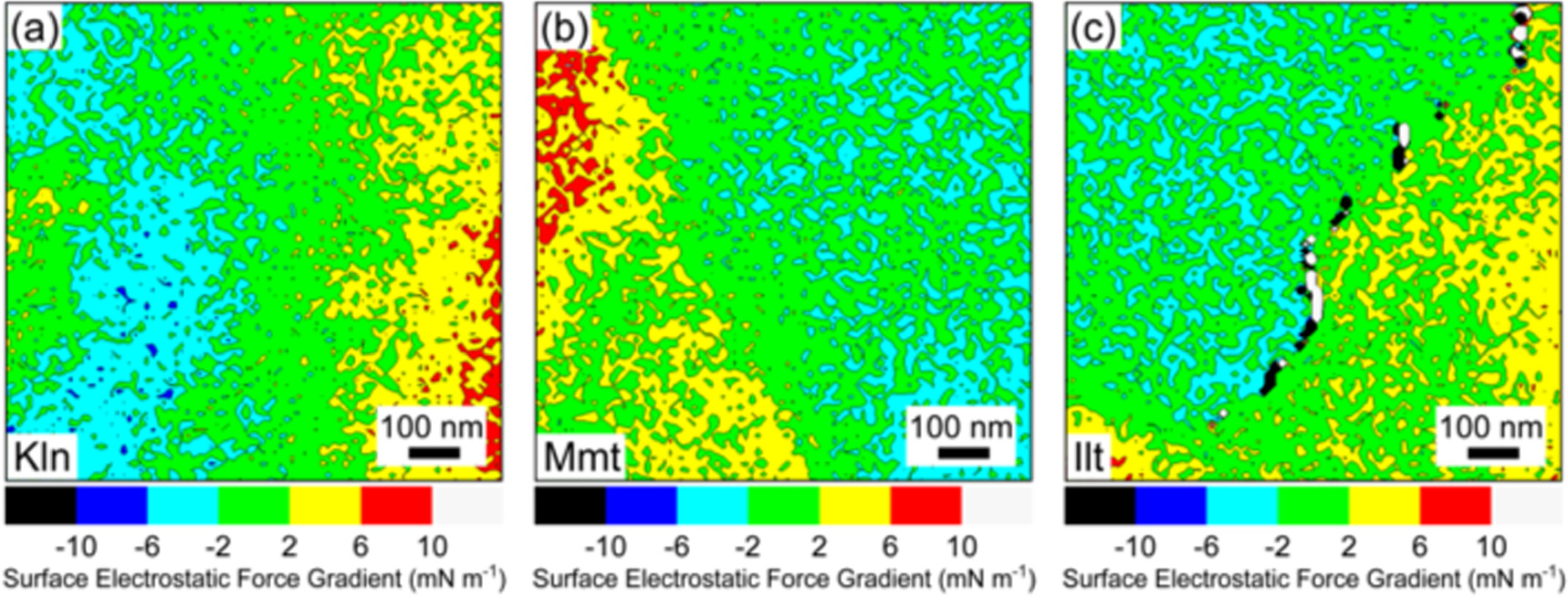 Probing the surface electrical properties of clay minerals with electrostatic force microscopy ...