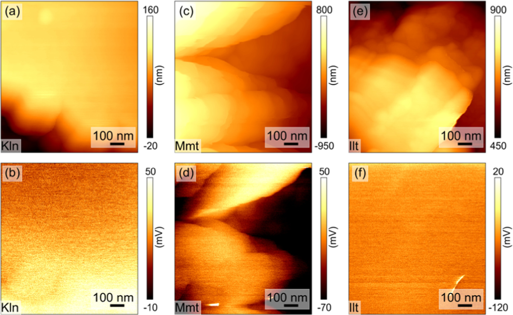Probing the surface electrical properties of clay minerals with ...