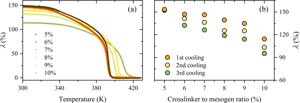 Thermomechanical response of liquid crystal elastomers: role of ...