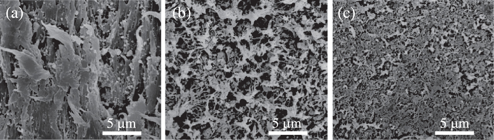 Notably enhanced dielectric response with low loss in PVDF composites ...