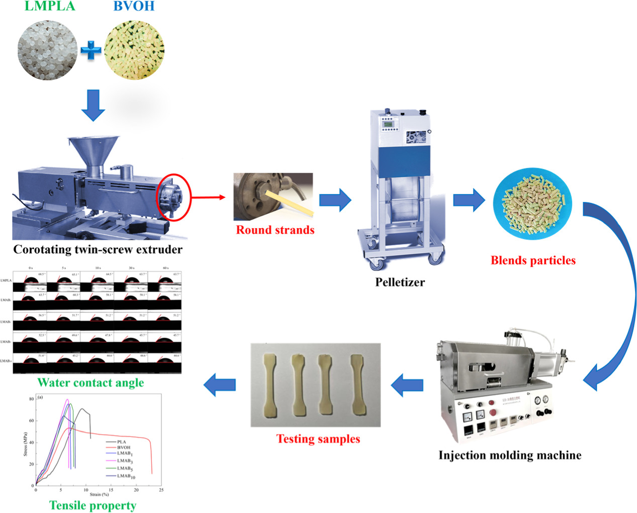 Enhanced hydrophilicity of low melting point polylactic acid by ...