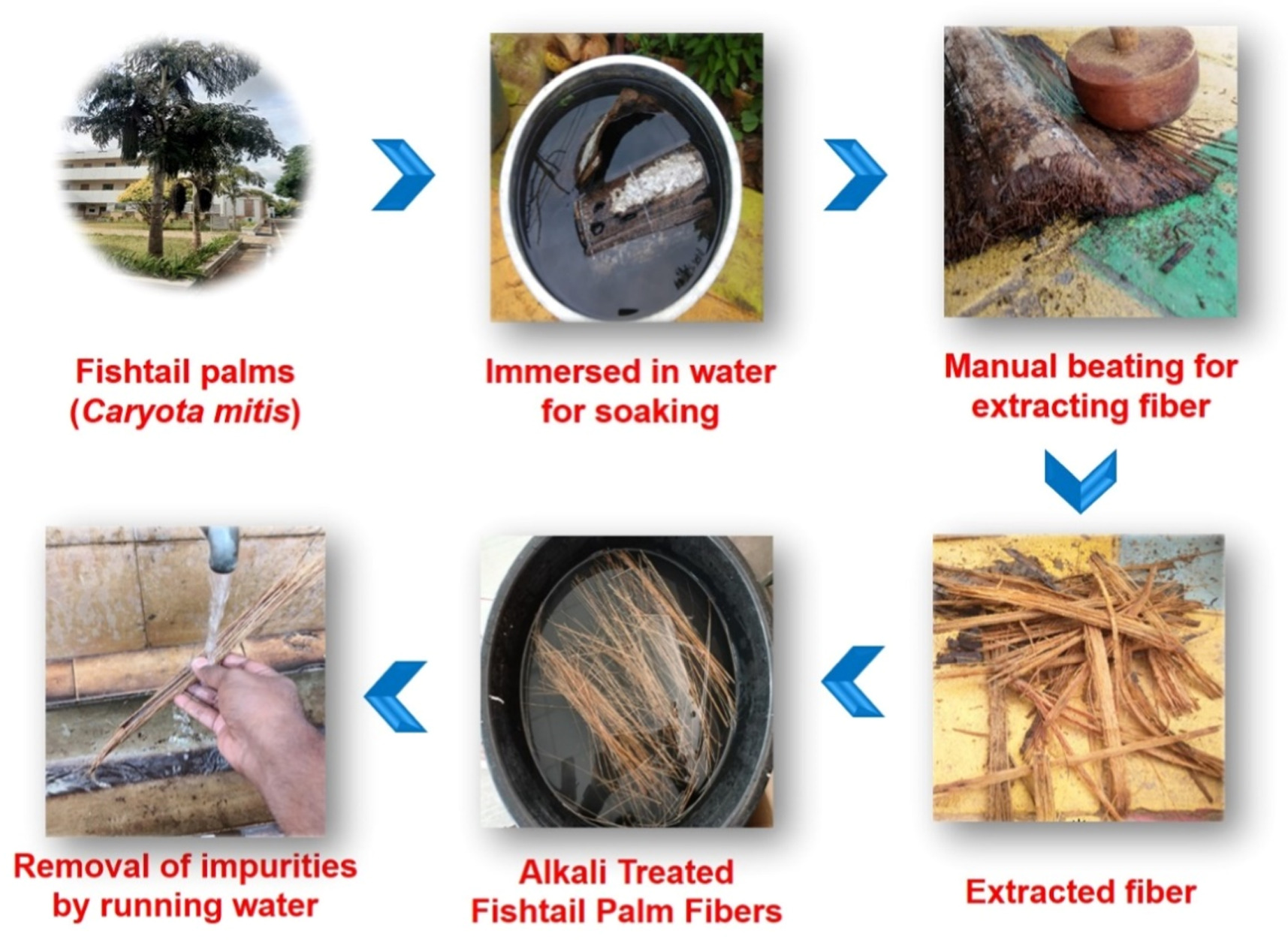 Extraction of cellulose from soybean hulls for the development of ...