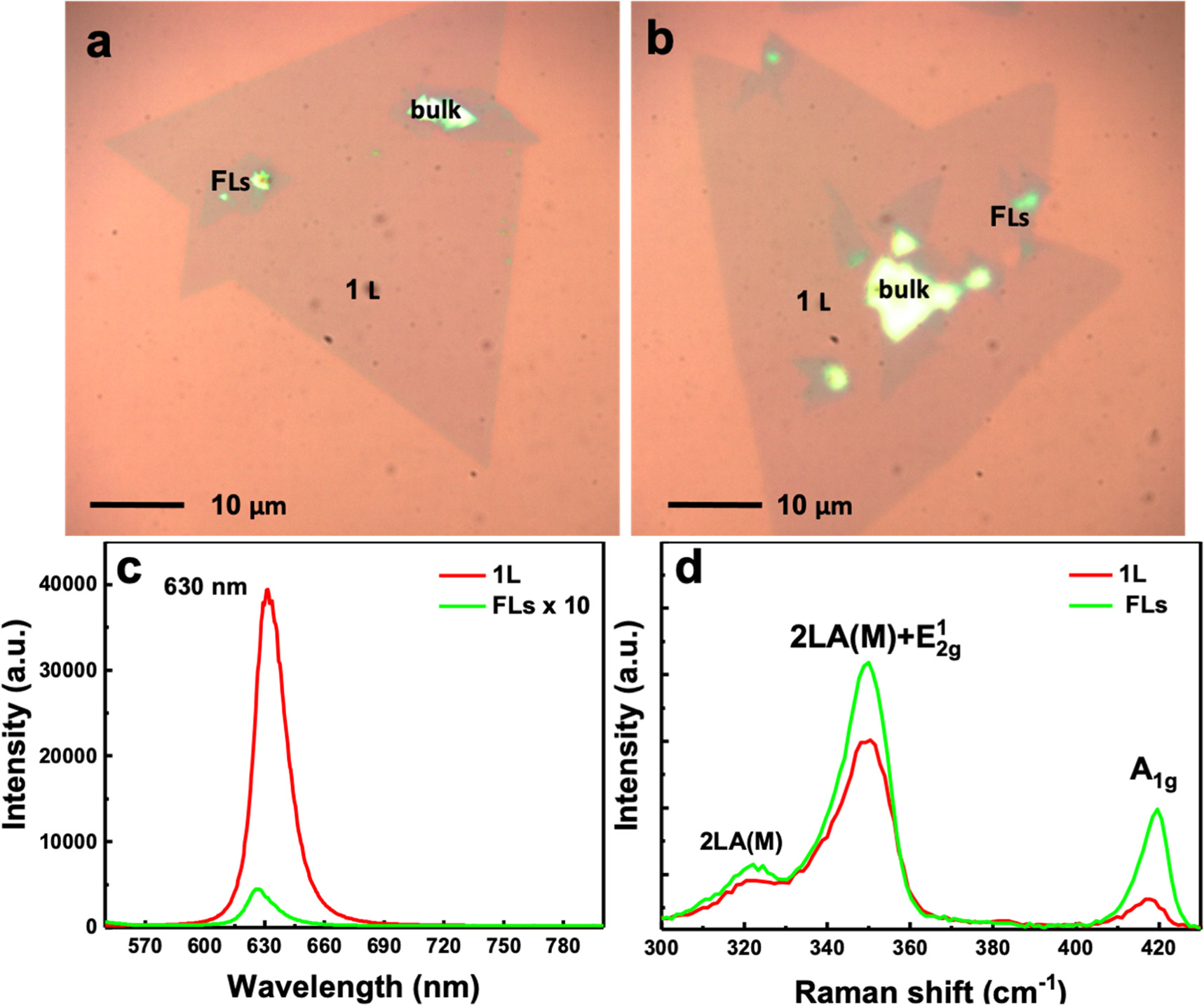 Global imaging for polarization resolved second harmonic generation of WS2 monolayers - IOPscience