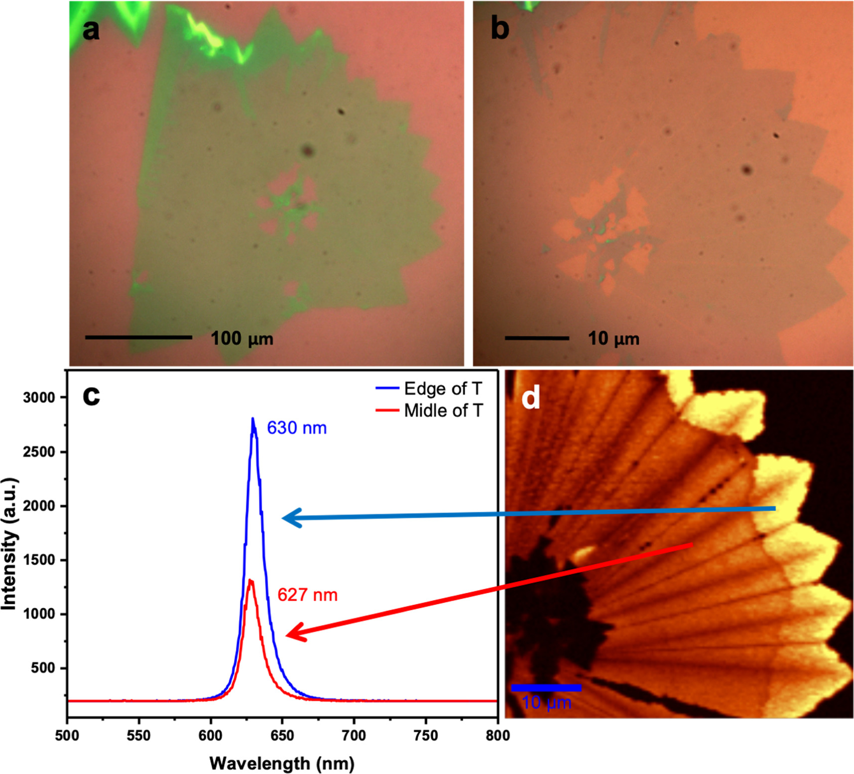 Global imaging for polarization resolved second harmonic generation of ...