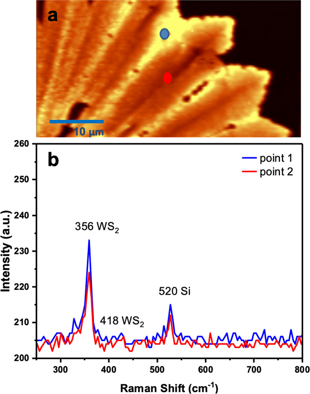 Global imaging for polarization resolved second harmonic generation of ...