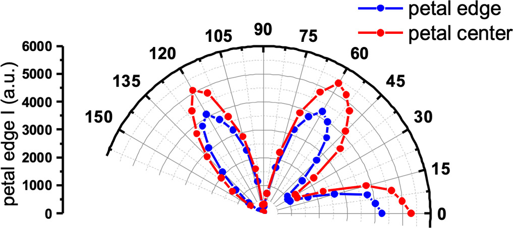 Global imaging for polarization resolved second harmonic generation of WS2 monolayers - IOPscience