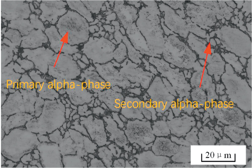 Prediction of ductile cracking in the titanium alloy forging process ...
