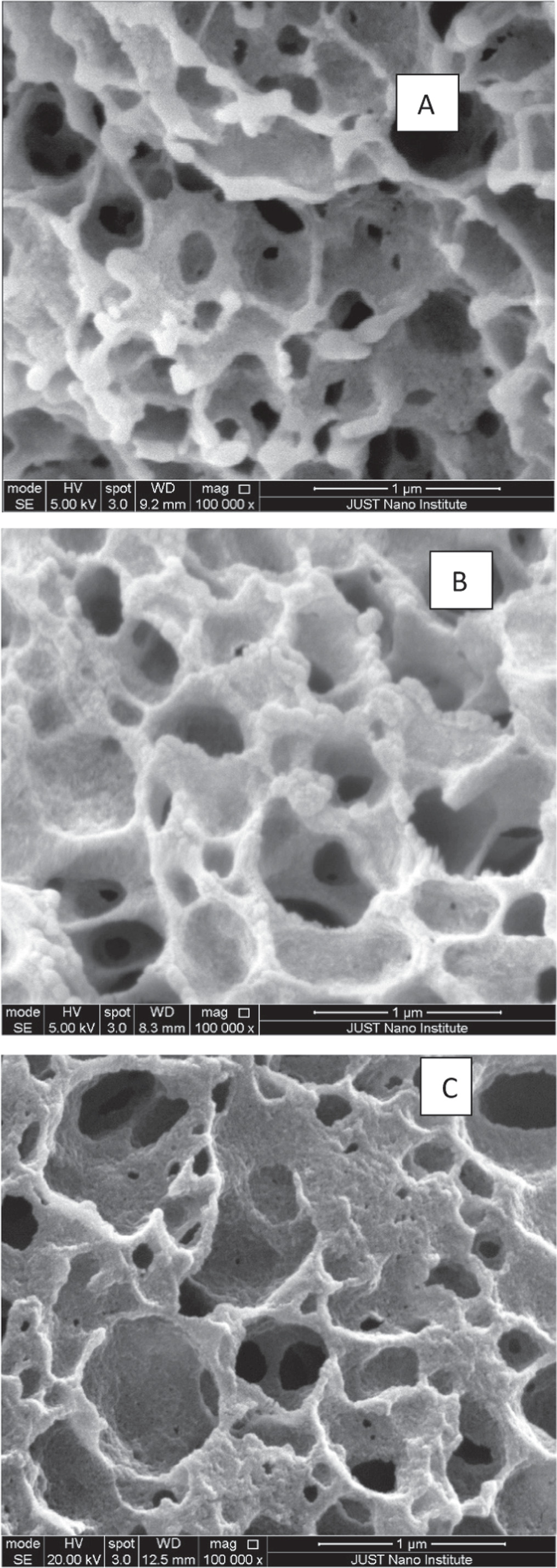 Enhanced properties of PVDF membranes using green ag-nanoclay composite ...