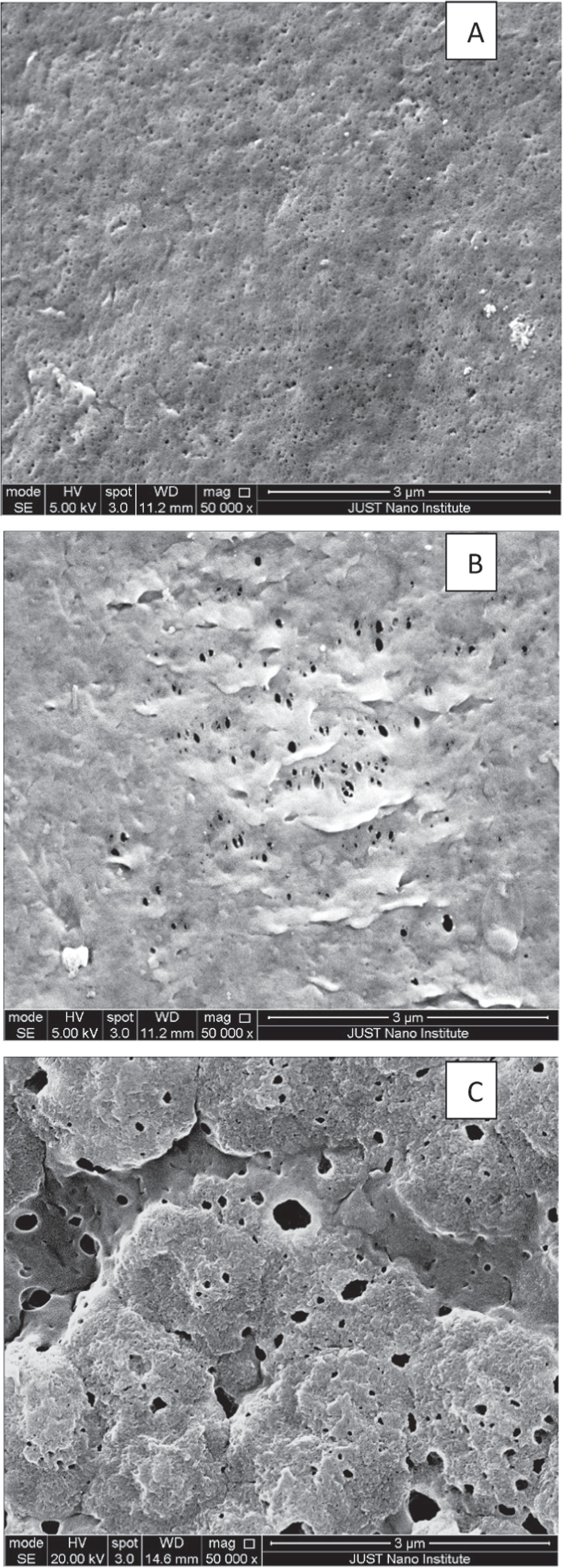 Enhanced properties of PVDF membranes using green ag-nanoclay composite ...
