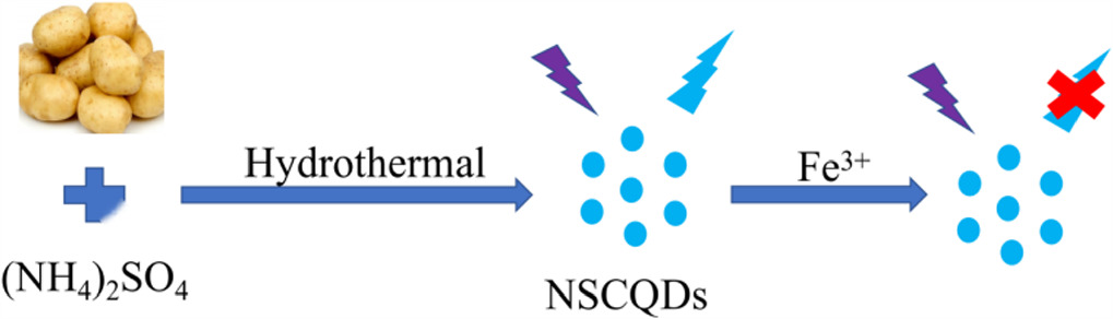 Detection of ferric ions by nitrogen and sulfur co-doped potato-derived ...