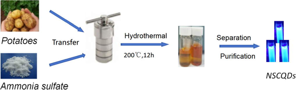 Detection of ferric ions by nitrogen and sulfur co-doped potato-derived ...