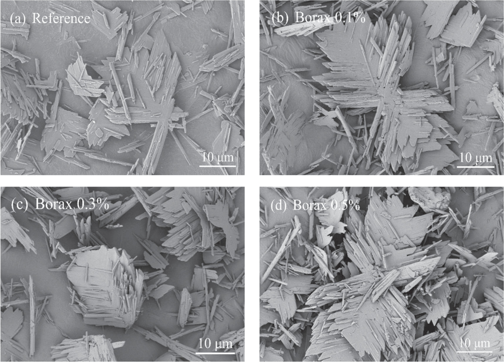 Effect of borax on the hydration and hardening of β-hemihydrate gypsum ...