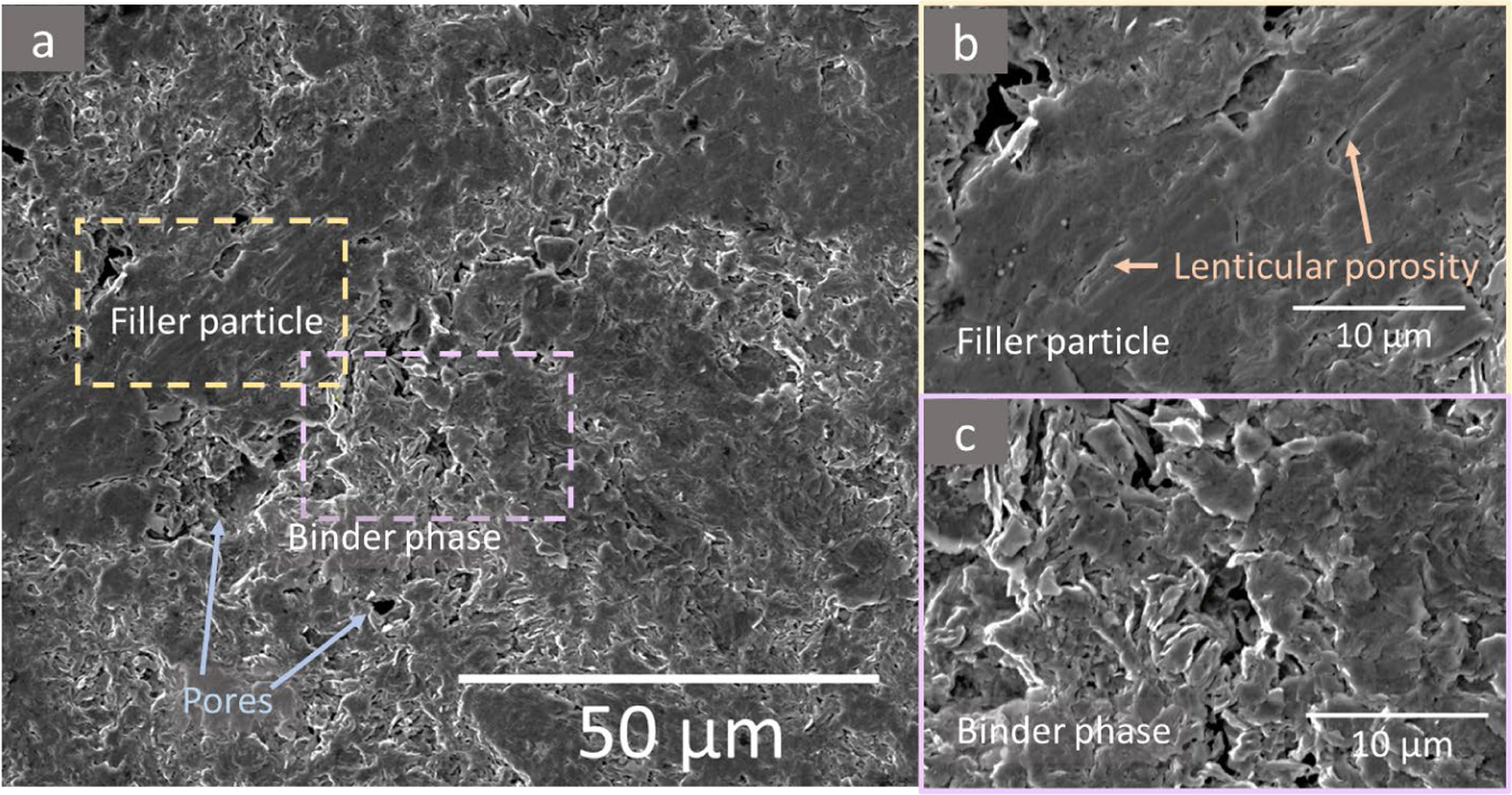 An In Situ transmission electron microscopy study on the synergistic ...