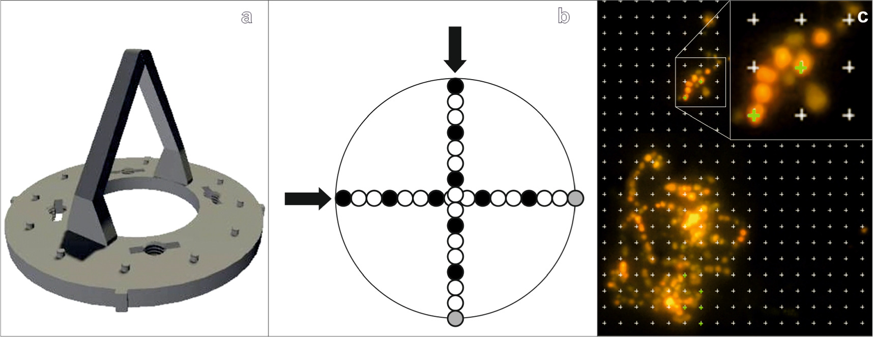 Comparative study of cell interaction and bacterial adhesion on ...