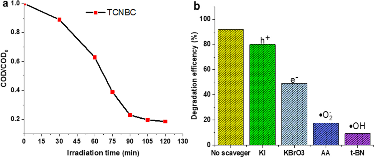 Visible-light-driven photocatalytic degradation of doxycycline using ...
