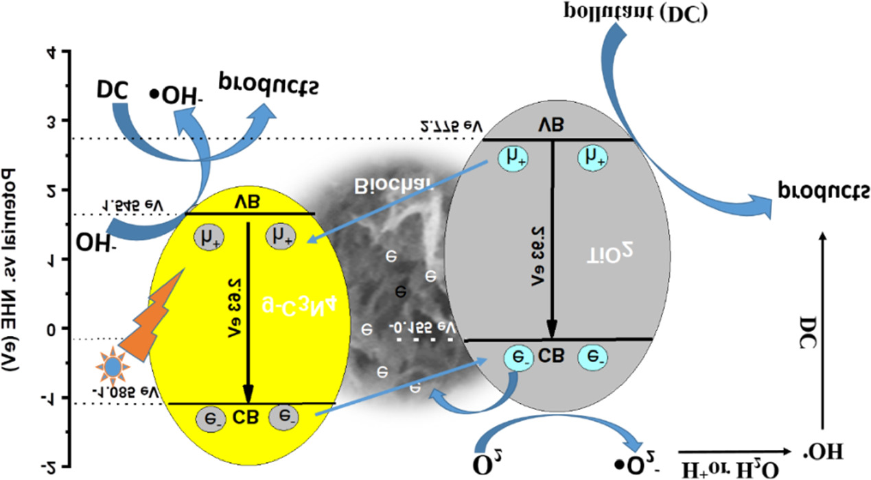 Visible-light-driven photocatalytic degradation of doxycycline using ...
