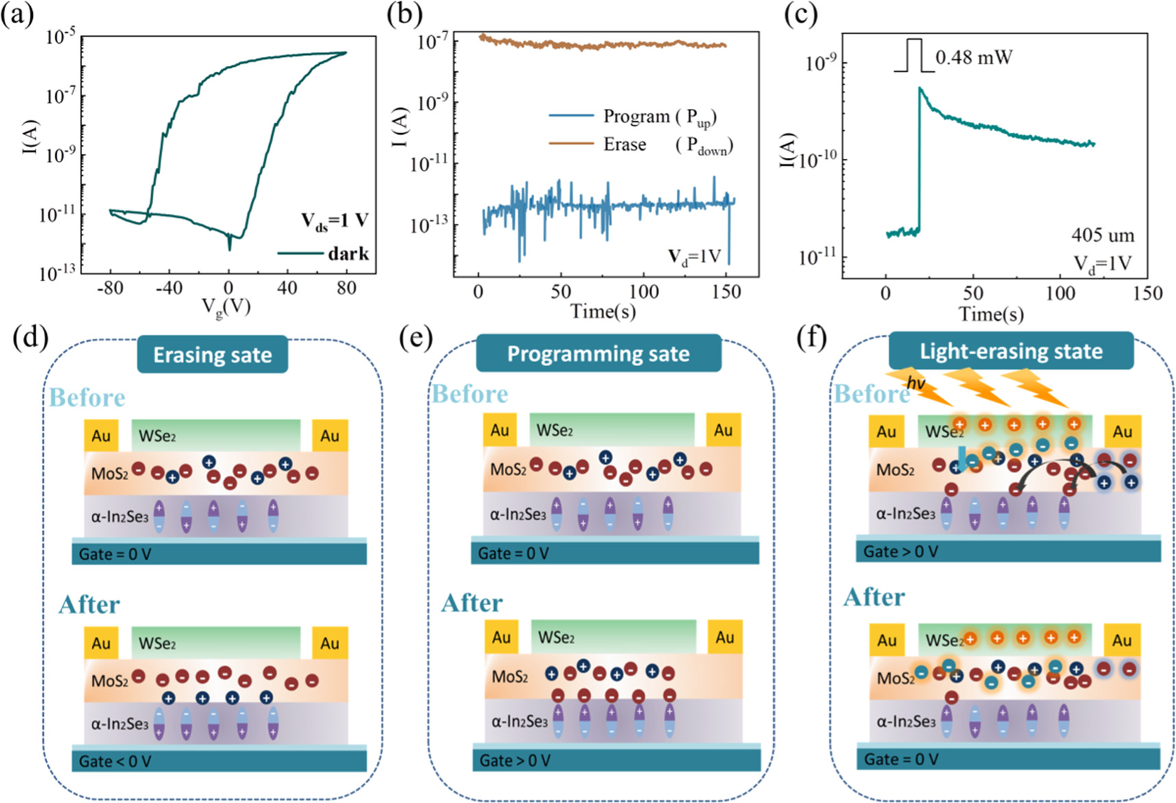 Photoelectric synapses based on all-two-dimensional ferroelectric ...