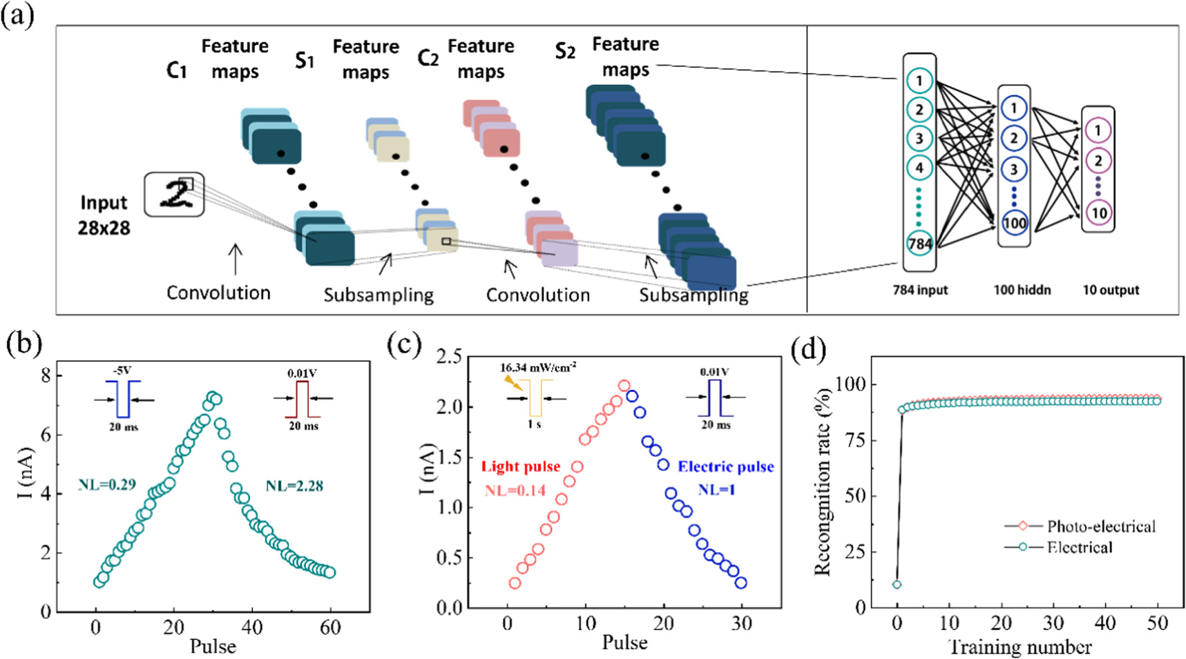 Photoelectric synapses based on all-two-dimensional ferroelectric ...