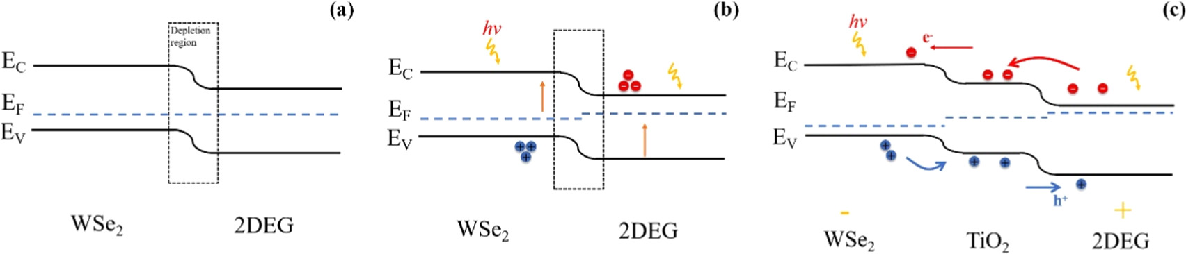 Enhanced photosensitivity in a hybrid WSe2/2DEG heterojunction using a ...