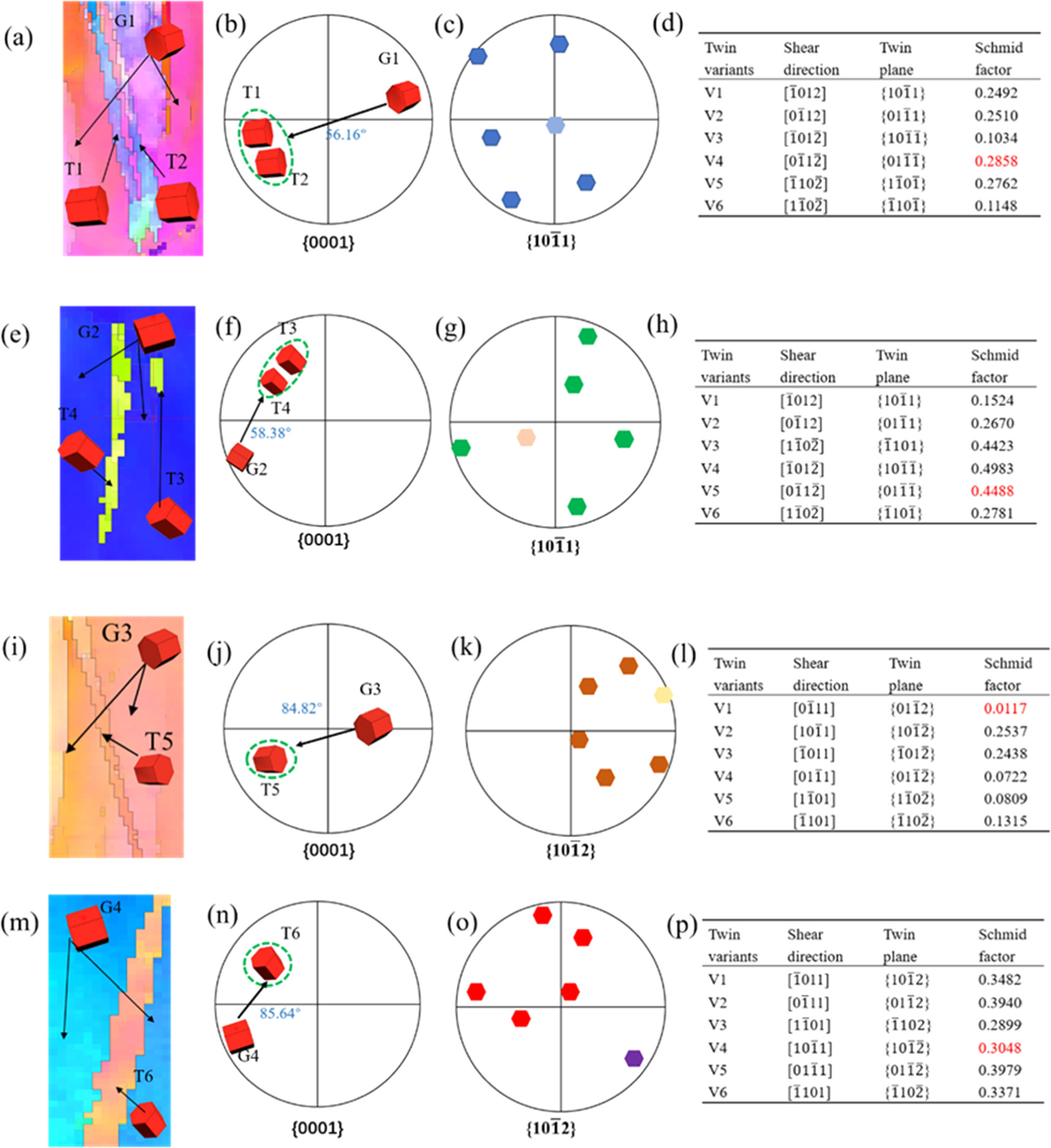 Prediction of flow stress in Mg-3Dy alloy based on constitutive ...