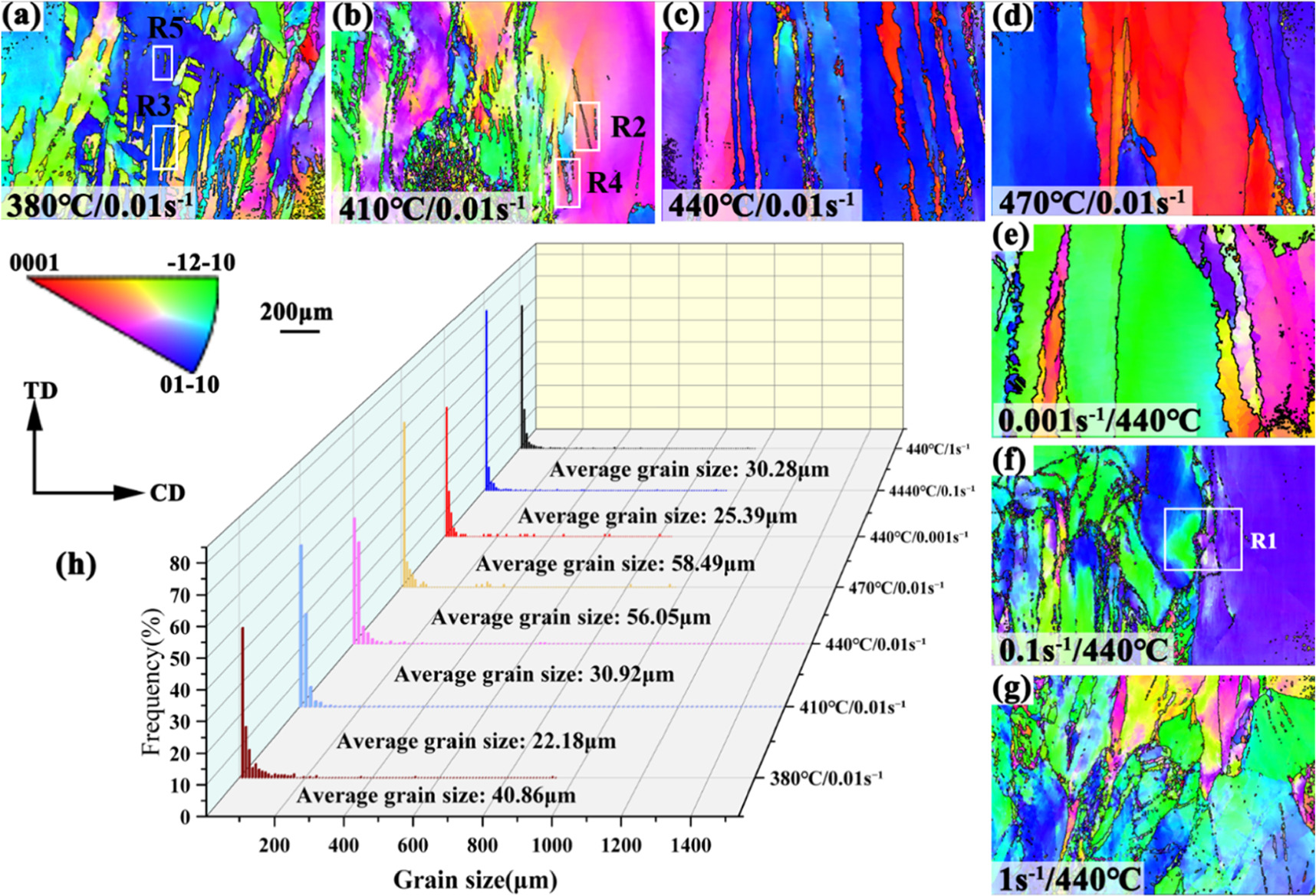 Prediction of flow stress in Mg-3Dy alloy based on constitutive ...