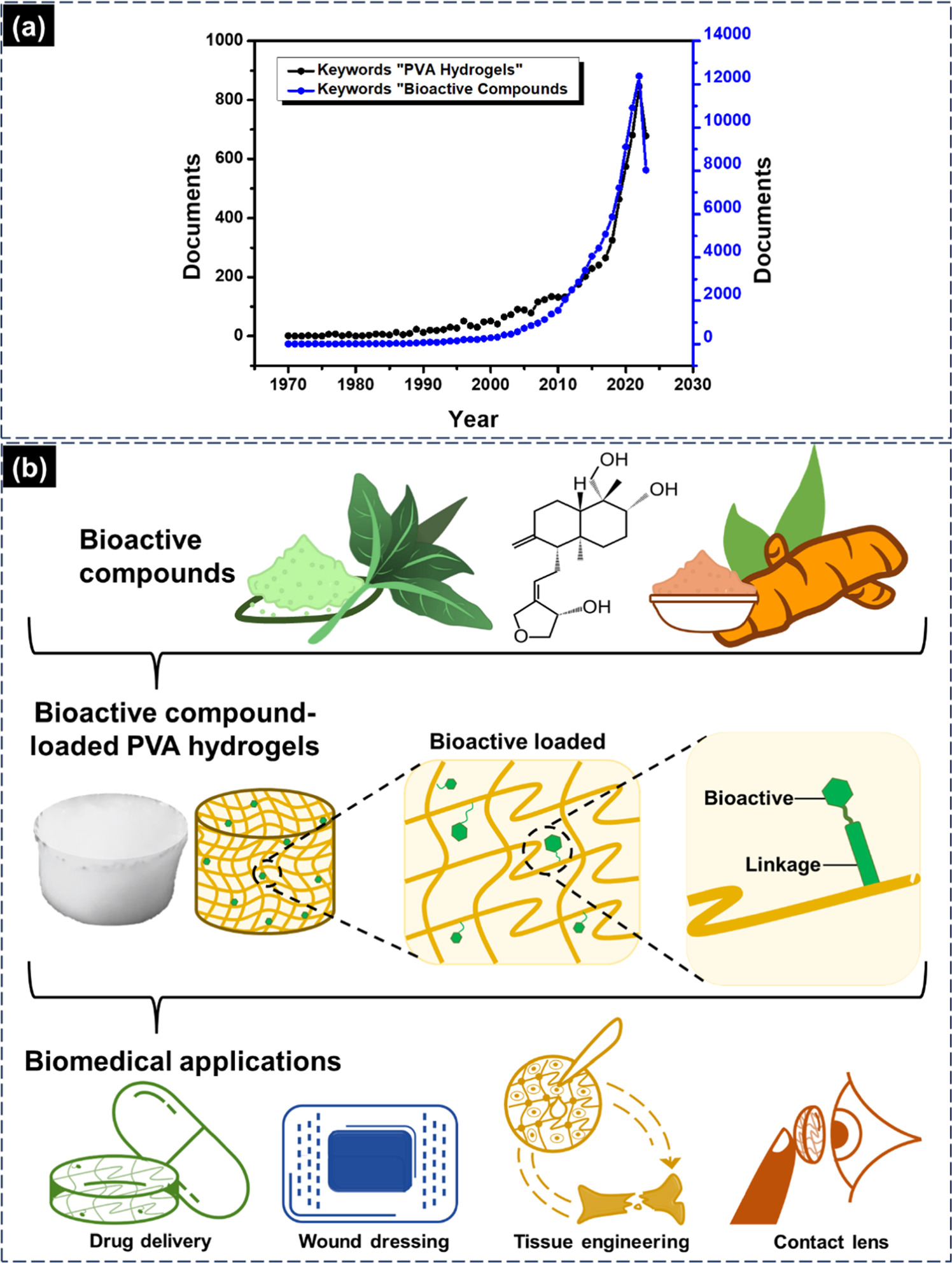 Bioactive compounds-loaded polyvinyl alcohol hydrogels: advancements in ...