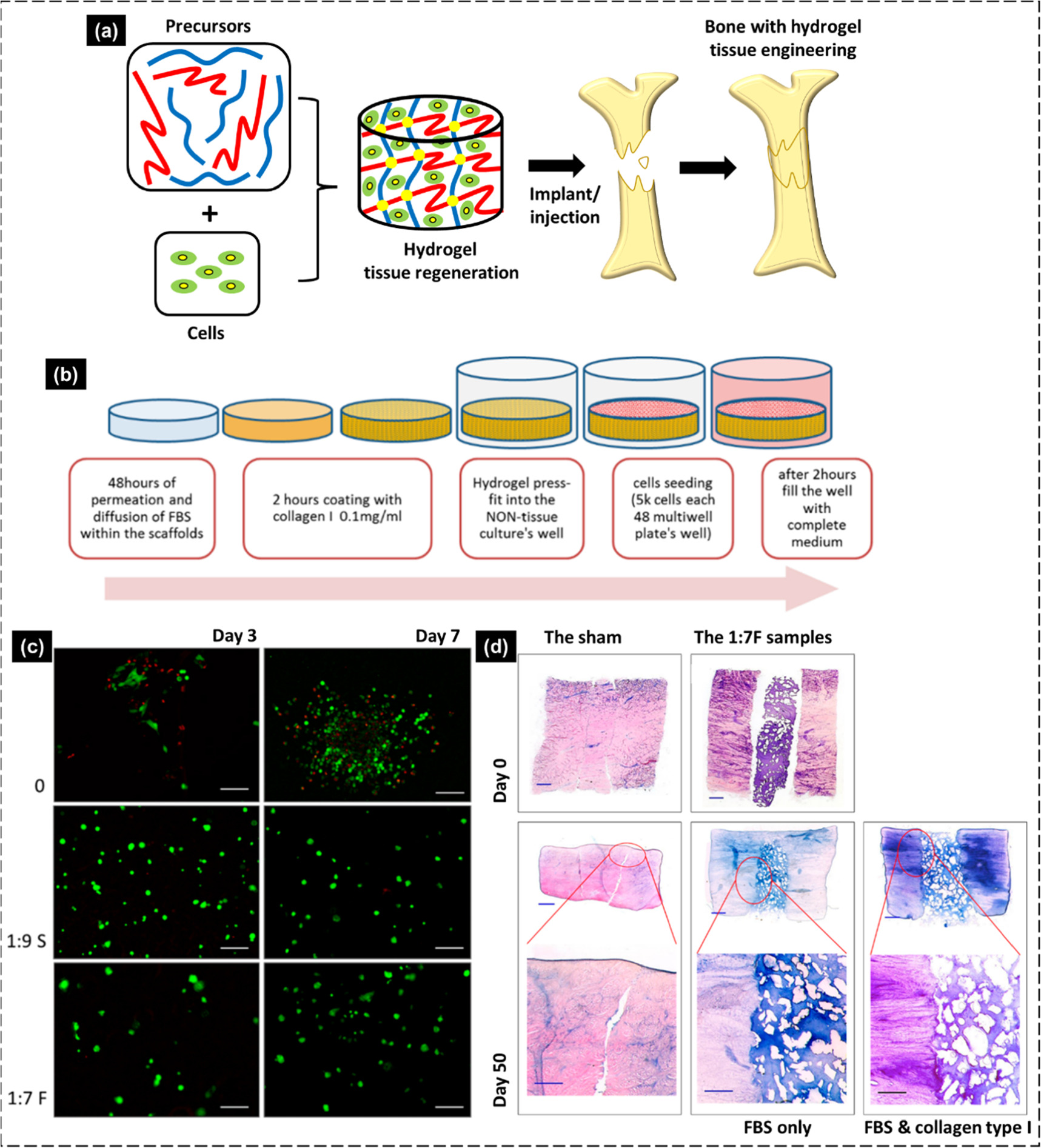 Bioactive compounds-loaded polyvinyl alcohol hydrogels: advancements in ...
