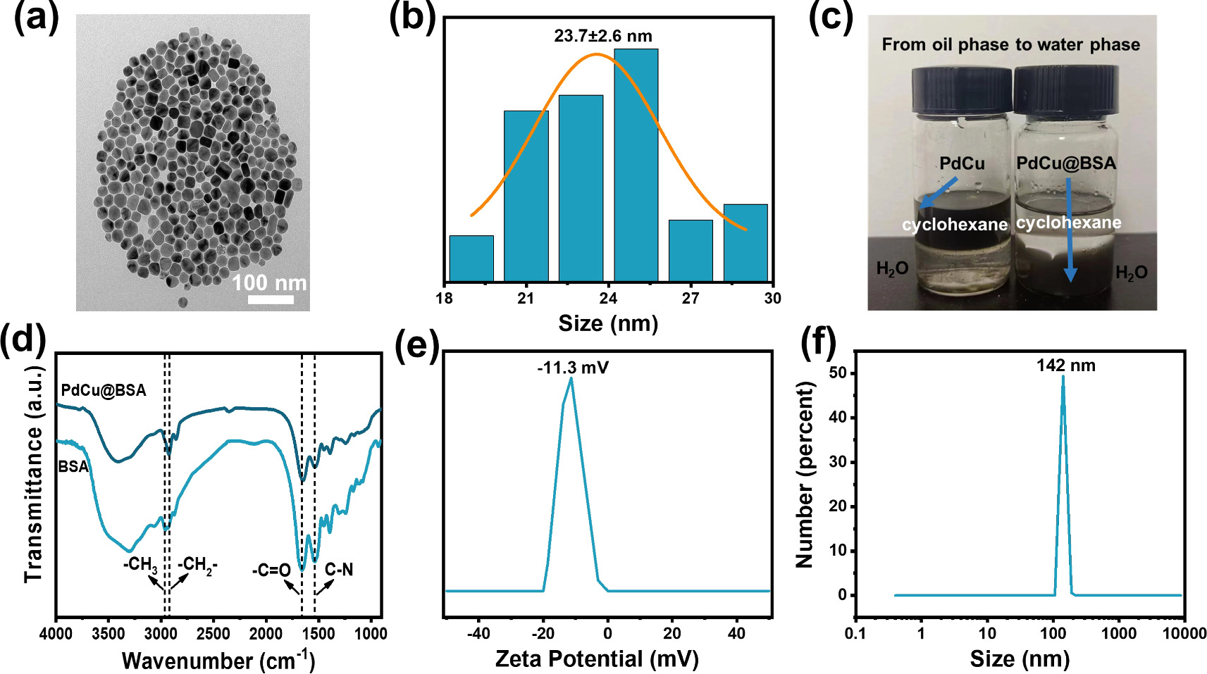 PdCu nanoparticles with multienzymatic activity to treat tumors through ...