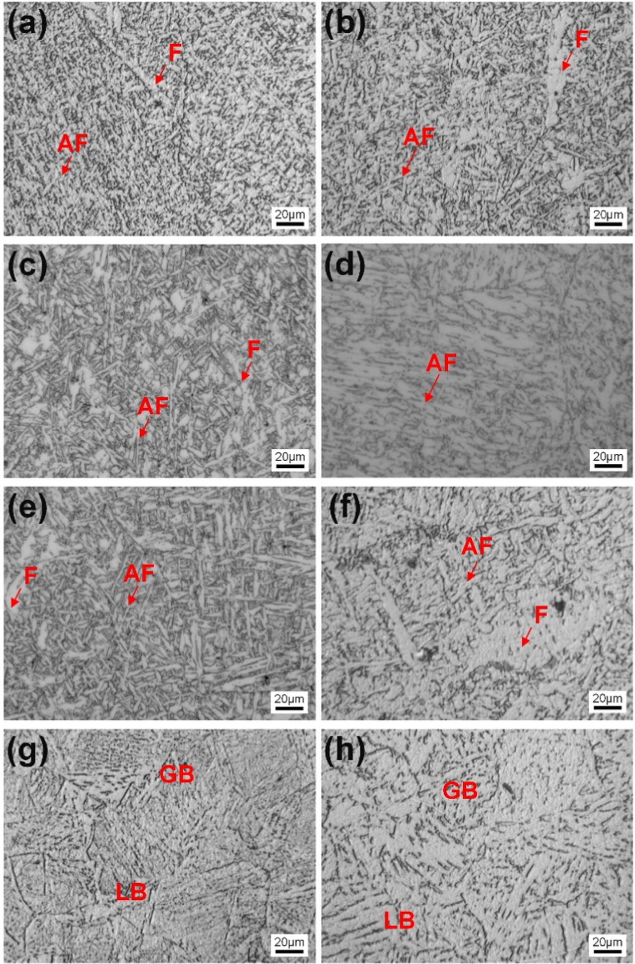 Comparisons of microstructure and mechanical properties of MAG joints ...