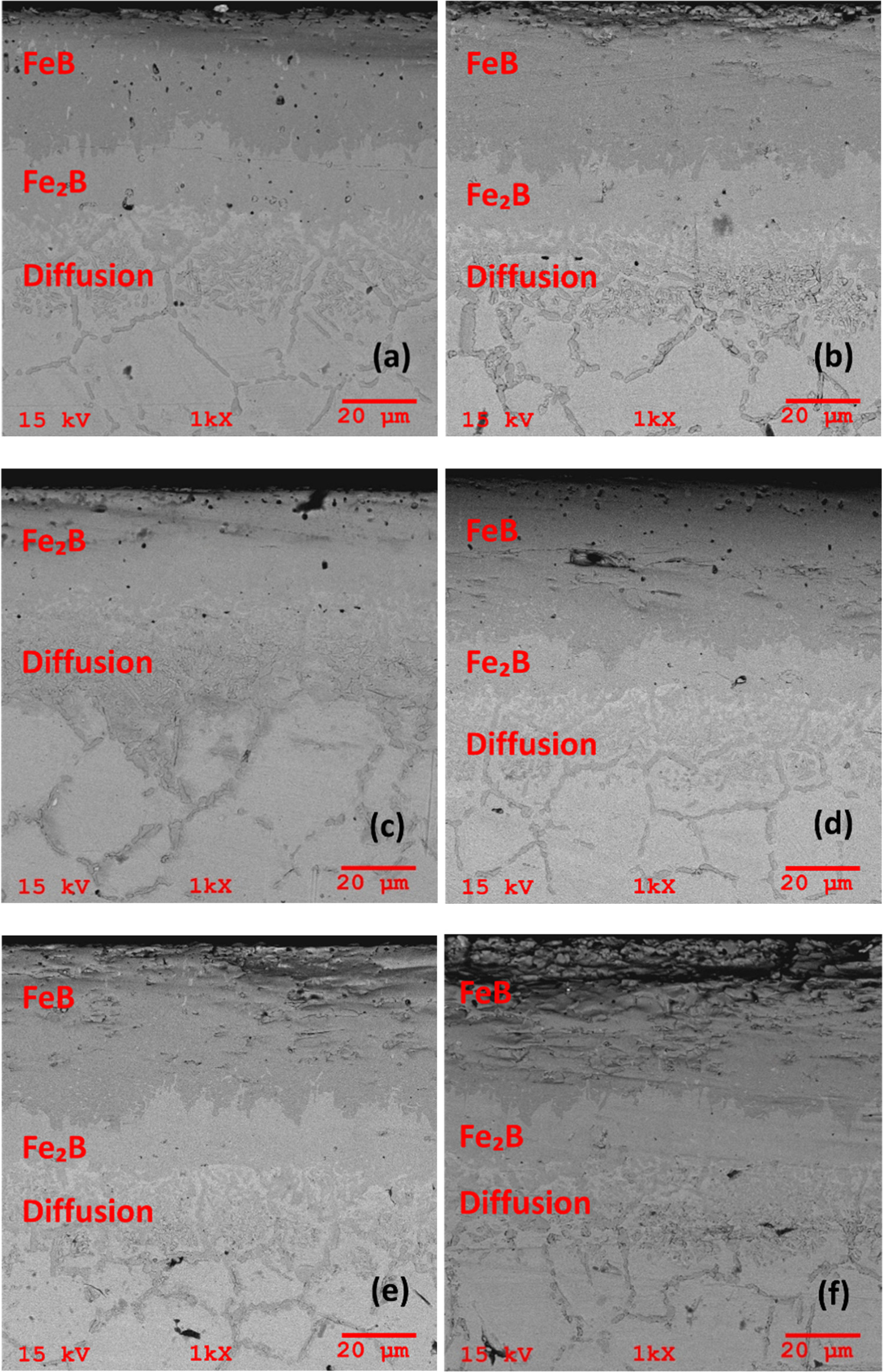 The effect of different powder mixtures used in the boriding process on ...