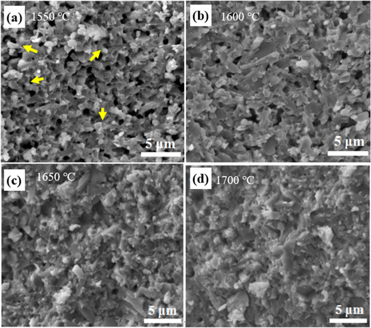 Densification mechanism and microstructural evolution of Si3N4 ...