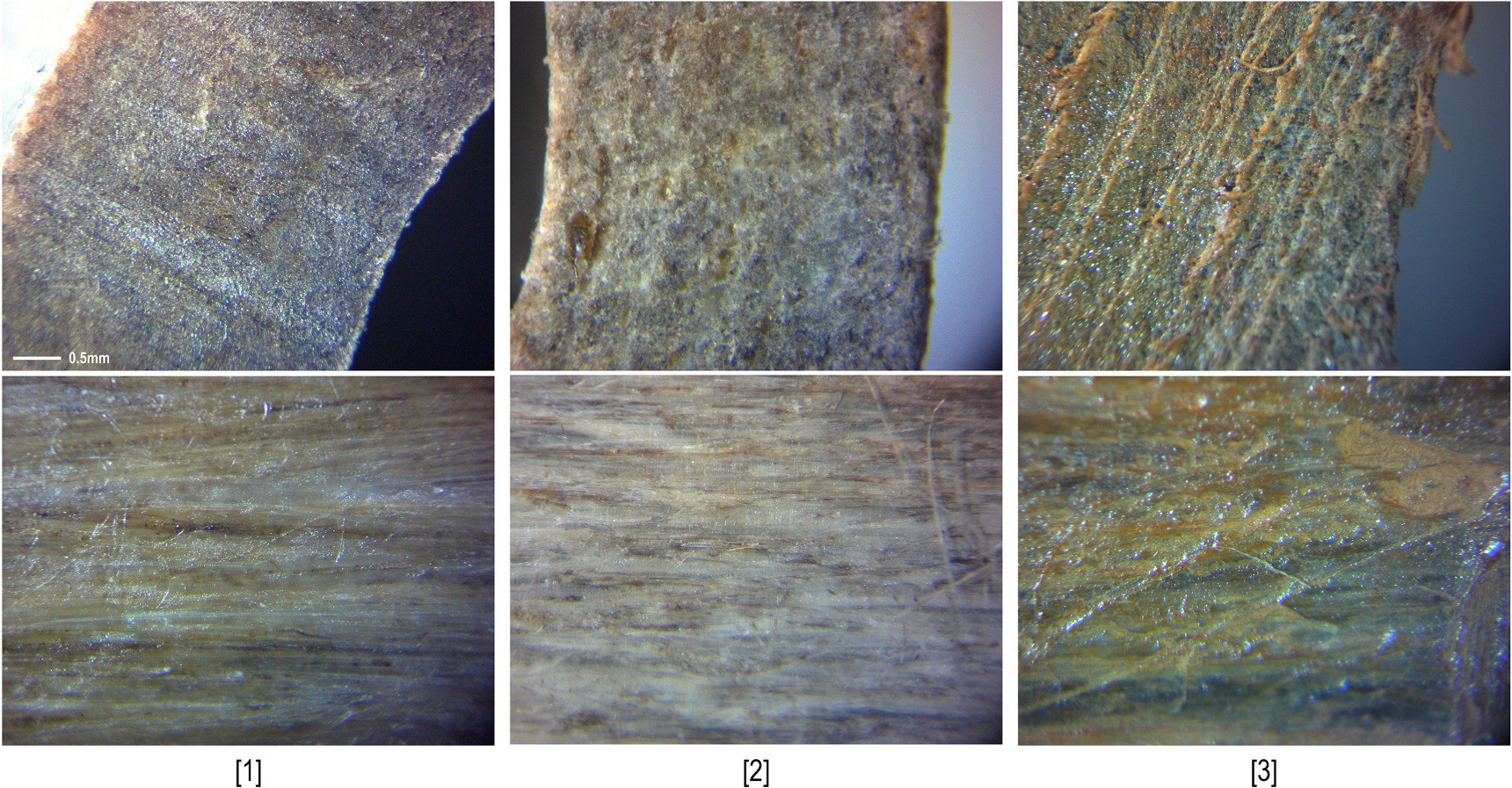 LeichtPRO-profiles: development and validation of novel linear ...