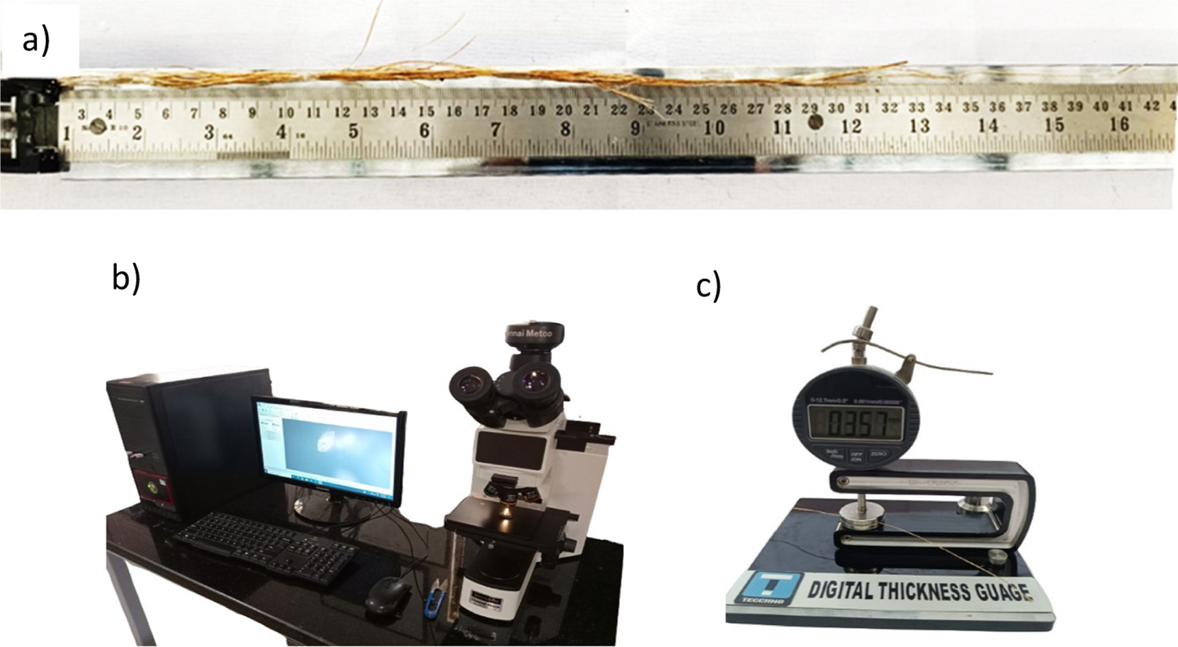 Comprehensive characterization of spathe fibres extracted from Cocos ...