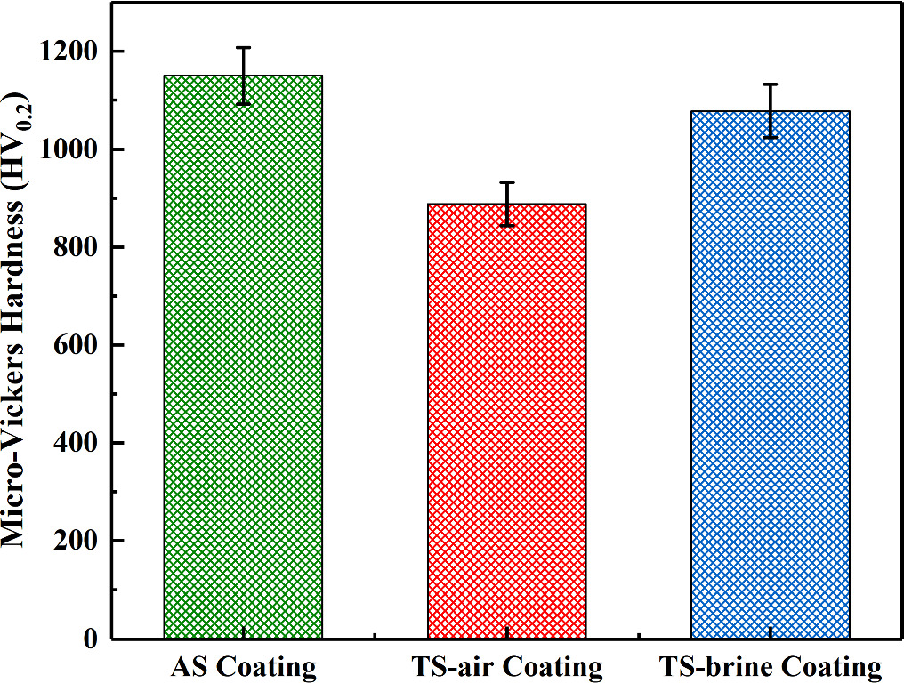 Impact of cyclic thermal shocks on the electrochemical and tribological ...