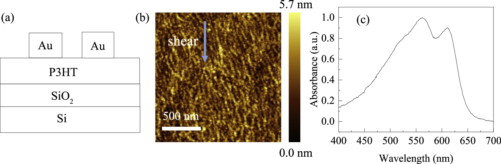 Photoelectronic synaptic transistors with tuneable synaptic plasticity ...