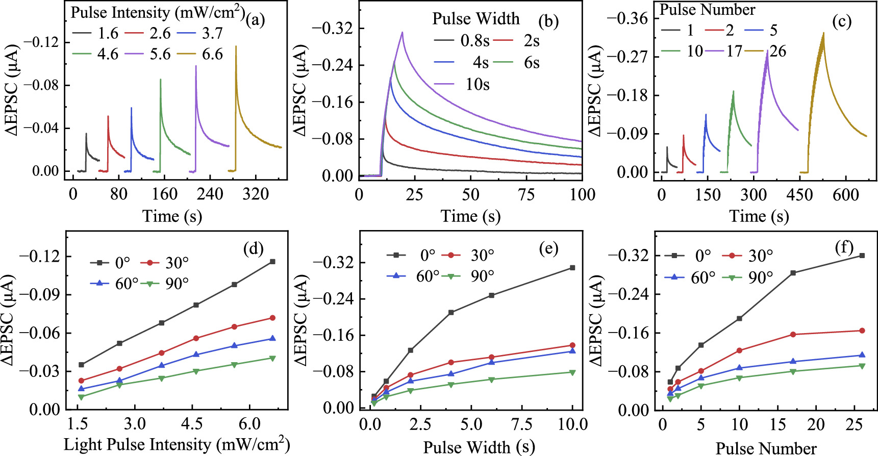 Photoelectronic synaptic transistors with tuneable synaptic plasticity ...